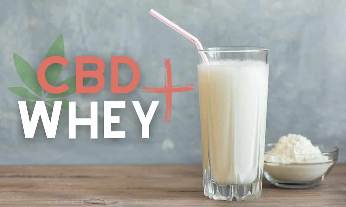 🥇 CBD Whey Protein Test und Kaufberatung